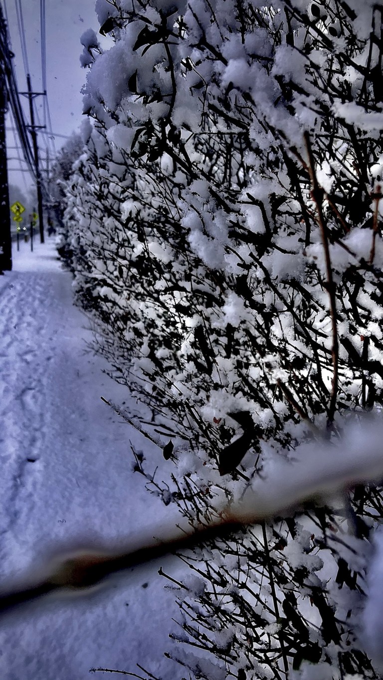 Snow day like today. – Dani's Writing Journey